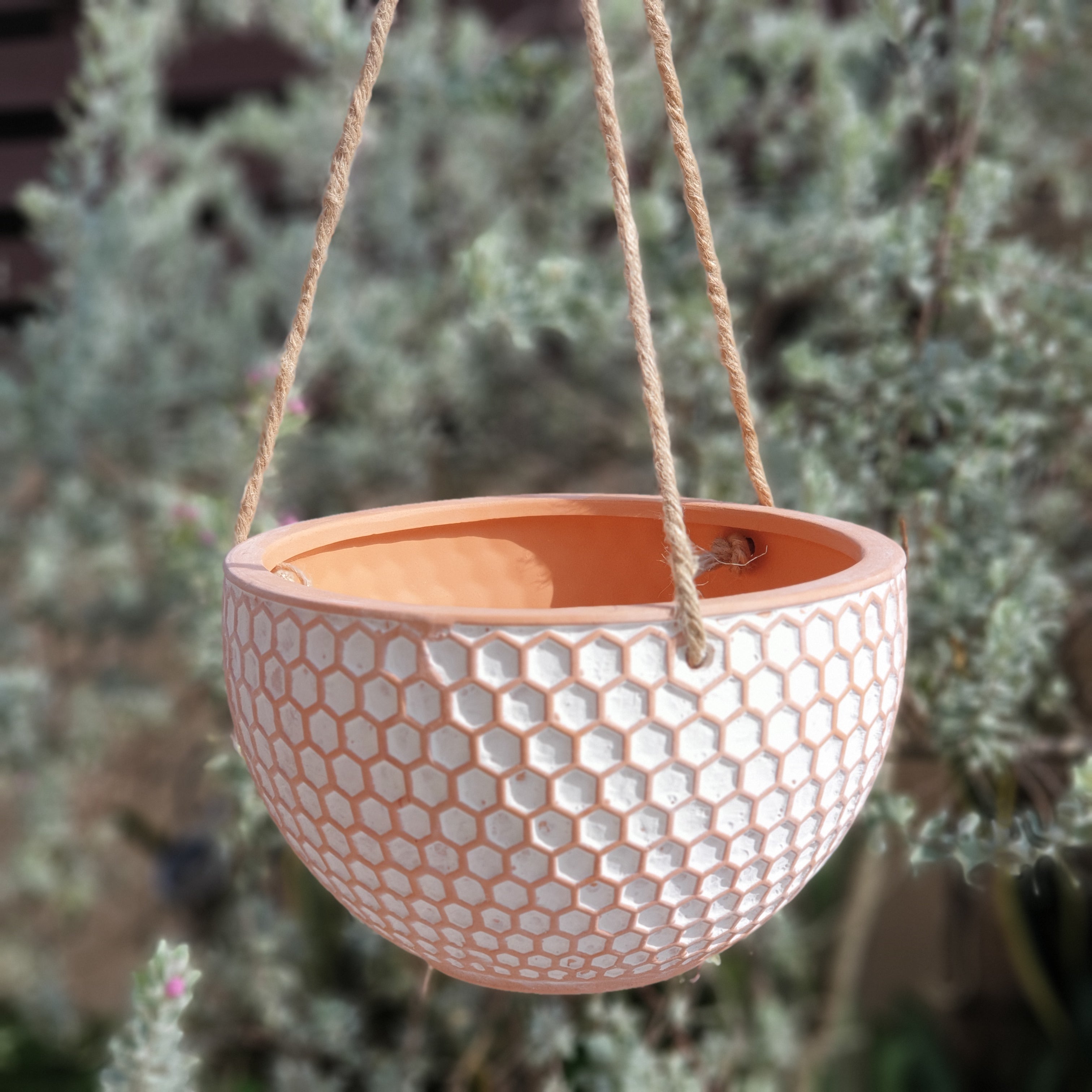 Pollen Hanging Pot – The Leaferie