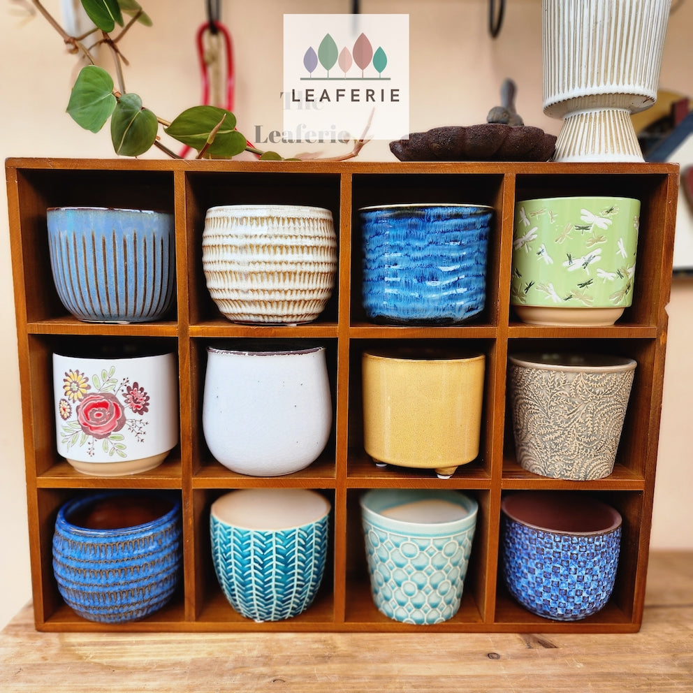 Mini Flowerpots (Series 3) 10cm The Leaferie