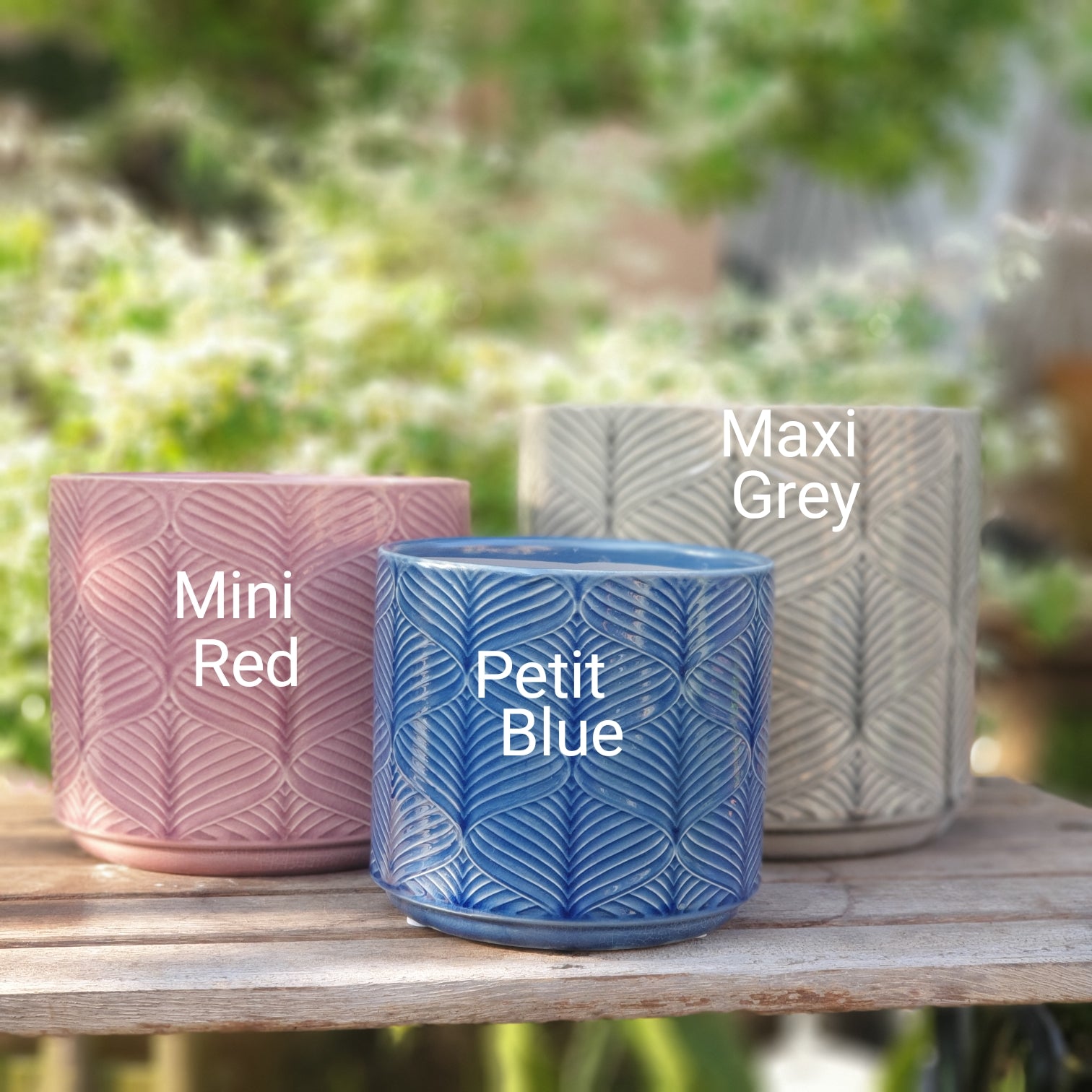 Réunion Flowerpot – The Leaferie
